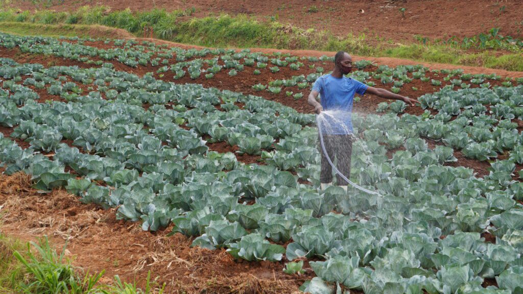 Rwanda, Growing with Change - EUCORD