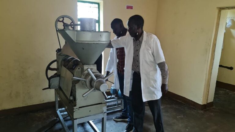 Sunflower (Ibihwagari) Project - EUCORD