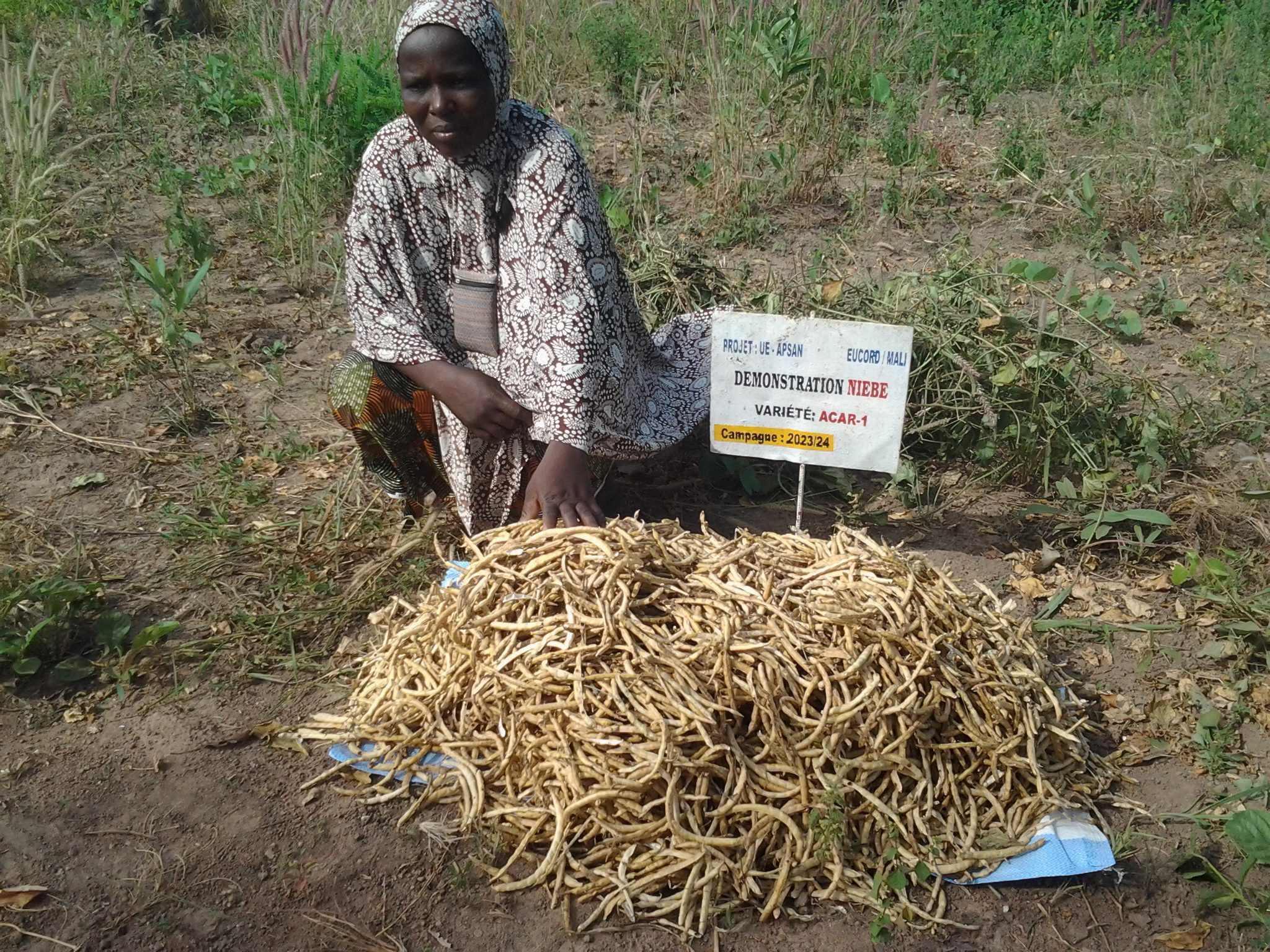 Mali, Enhancing Crop Productivity and Climate Resilience for Food and ...